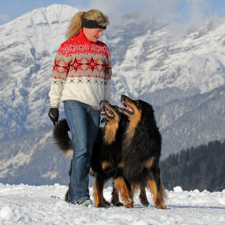 Zertifizierte Hundetrainer in Oberösterreich (OÖ) - Dogsworld Campus