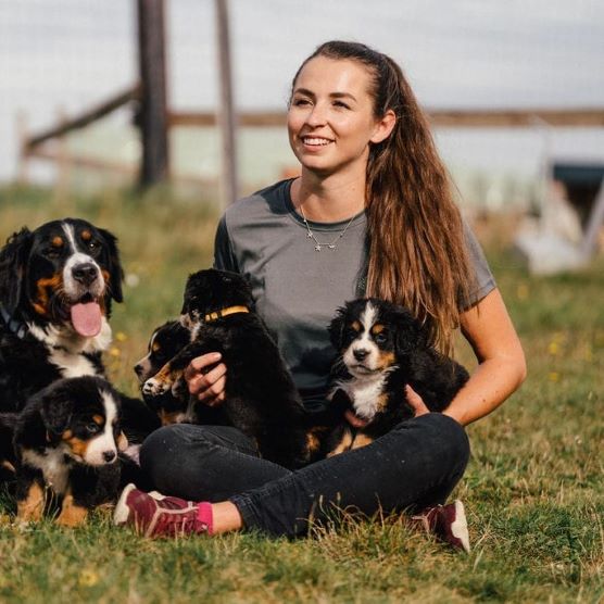 Zertifizierte Hundetrainer in Oberösterreich (OÖ) - Dogsworld Campus
